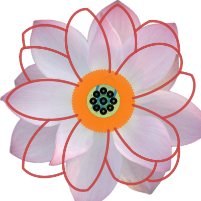 FLOWER PROJECT proto1 | Desmos